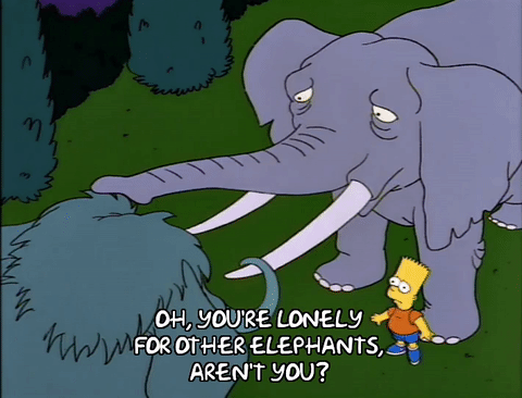 African Elephant Poaching Reaches Crisis Point · Student Edge News